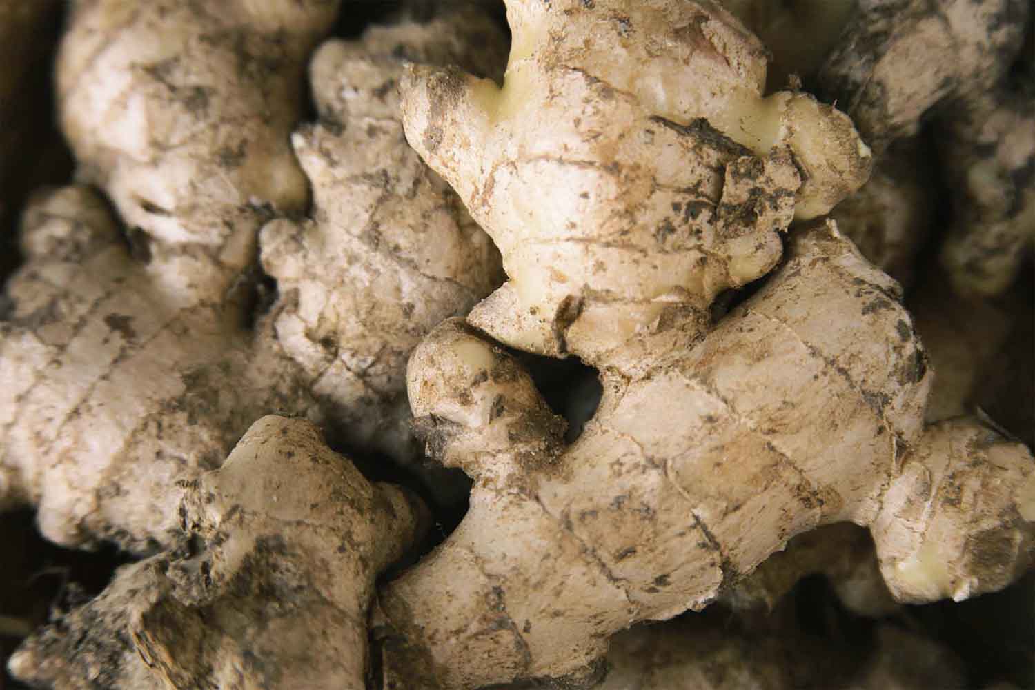 Wat is siberische ginseng? | Maudgeniet.nl